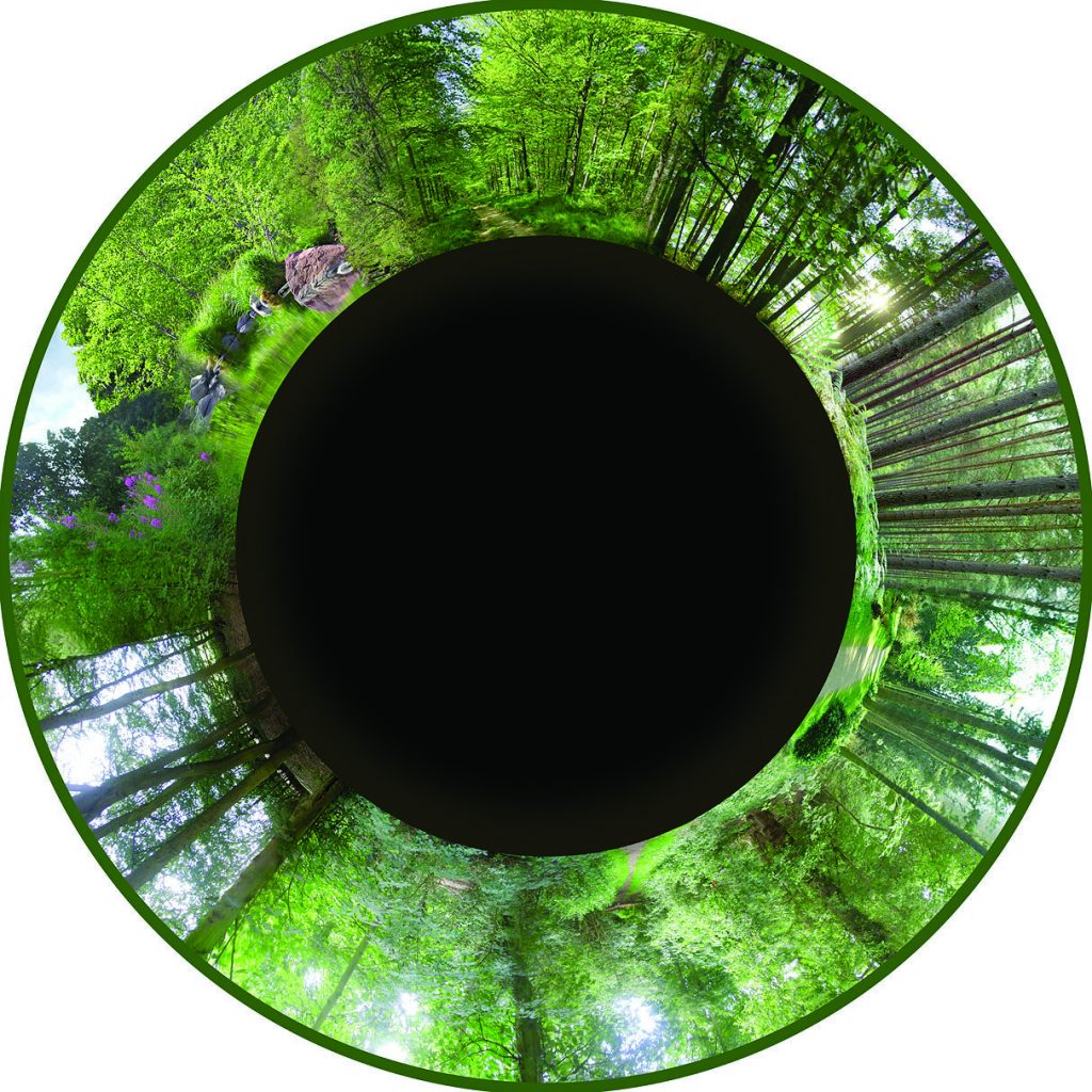 Forest 9" Max Effect Wheel | Sensory Room Projectors