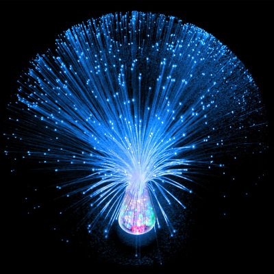Fibre Optic Lamp - Senteq Direct from Sensory Technology Ltd