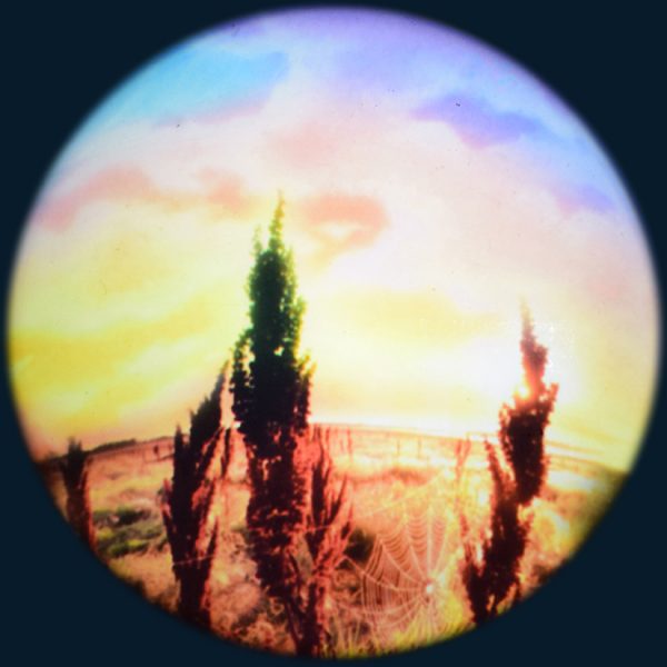 Avalon Dawn 6" Effect Wheel | Sensory Room Projectors