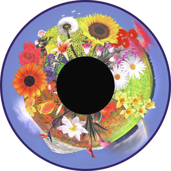 Flowers 6" Effect Wheel | Sensory Room Projectors